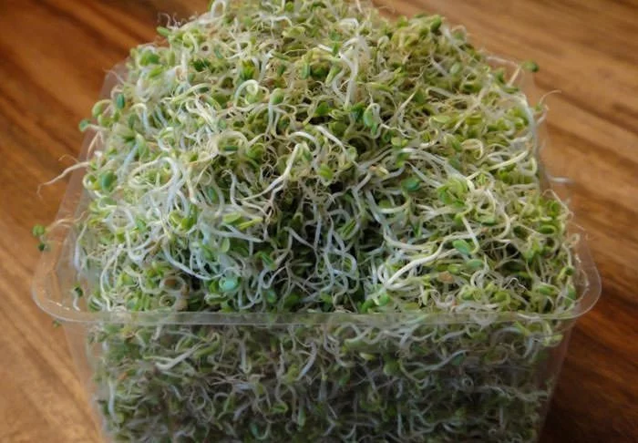 Posne supe i čorbe - Recepti - POSNAJELA.rs